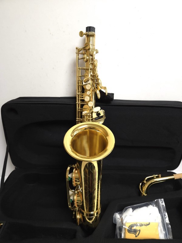 Asaxs Alto Sax Plus Case | 031000328556 | Cash Converters