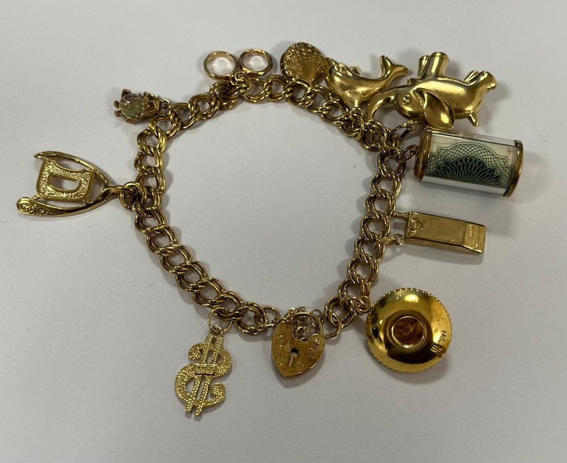 9ct 9K Yellow Gold Charm Bracelet Yellow Gold Bracelet 28.6G ...