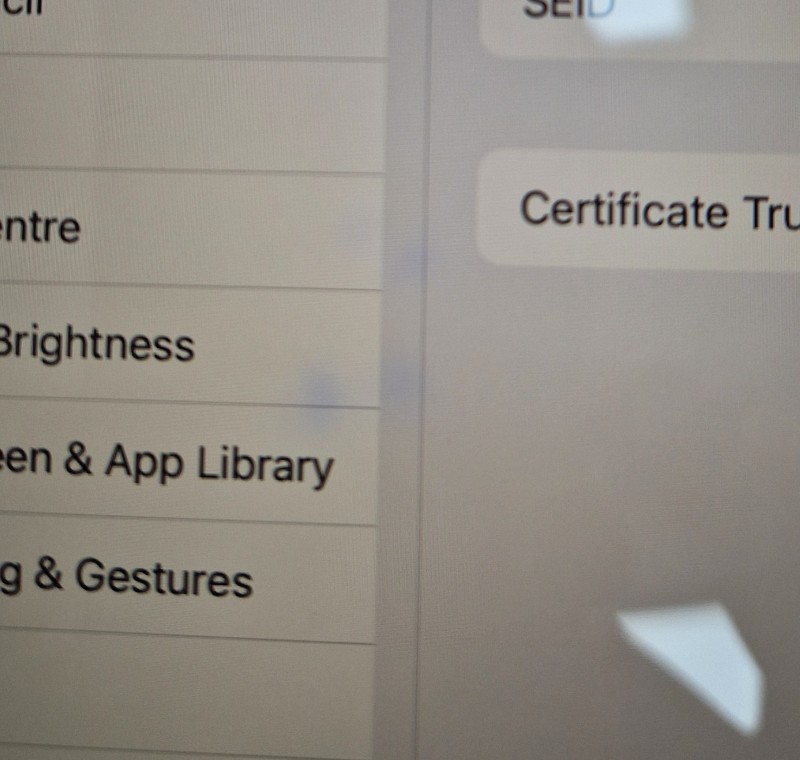 Apple iPad 7th Gen 32GB Wifi Only - Slight Blue Mark On Screen Silver ...