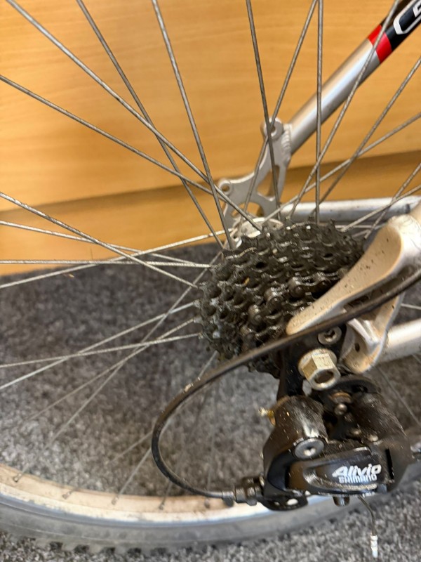 Gt Unisex Silver | 019600263269 | Cash Converters