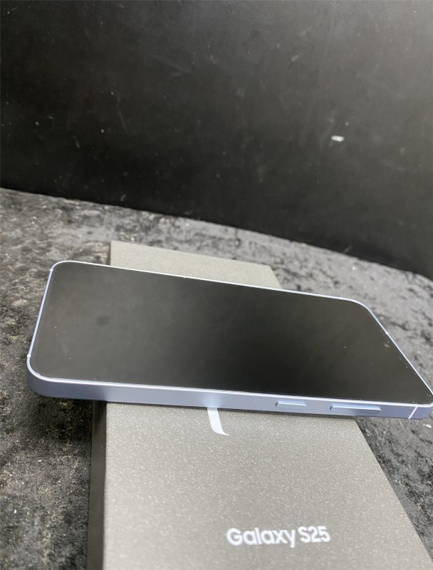 Samsung Smartphone Samsung Galaxy S25 256GB Icy Blue, Unlocked *Batt ...