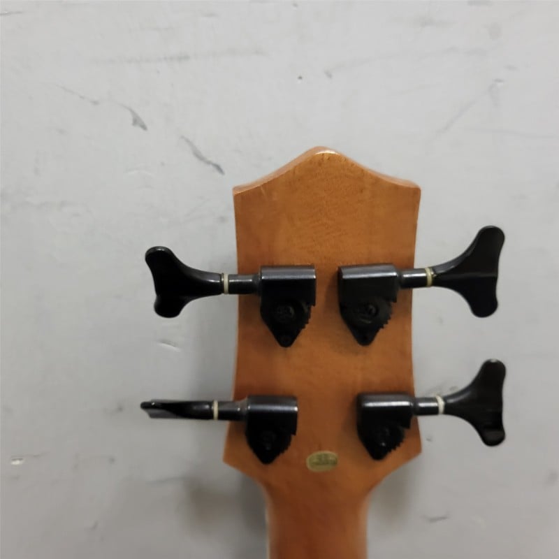 Ibanez Brown | 026800194812 | Cash Converters