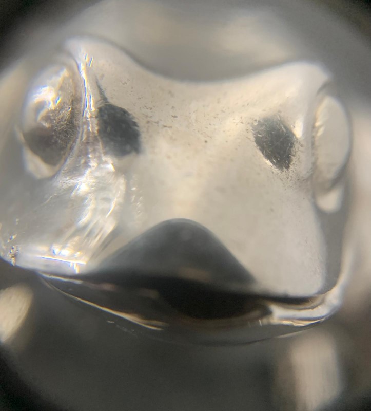 Frog Black | 031200134945 | Cash Converters