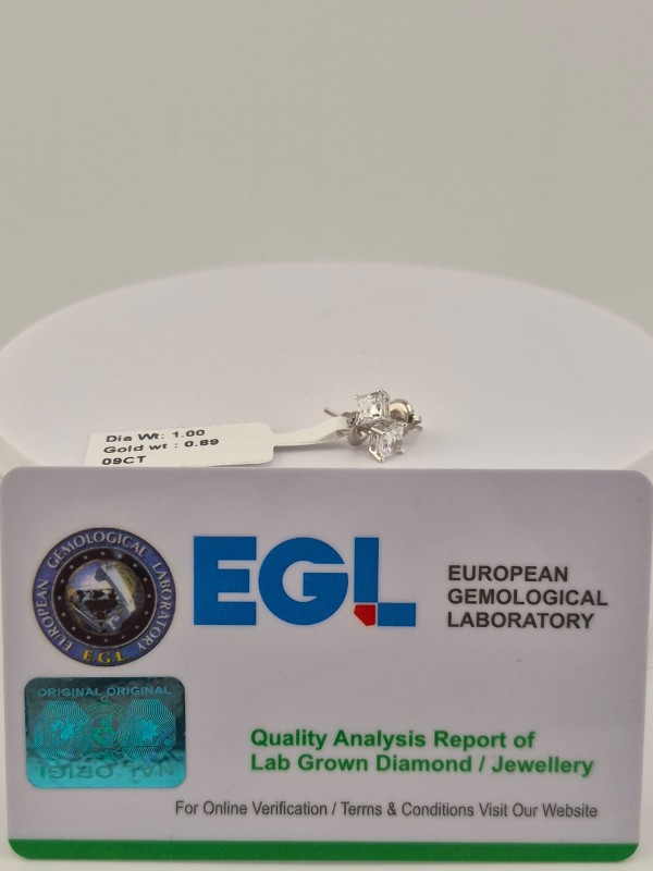 9ct Princess Cut Diamond Studs / Drop Pierced 0.8G | 030100264771 ...