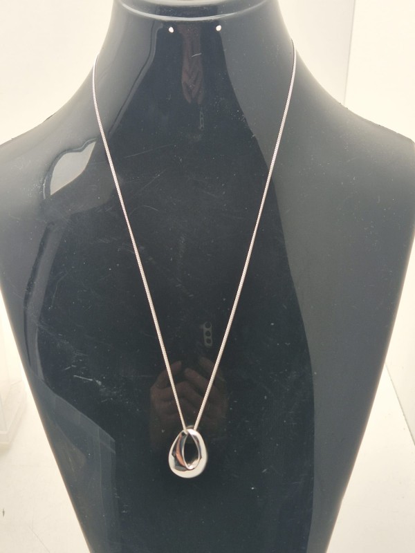 Silver Swoosh Circle Pend & Chain Necklace 1G | 055400024169 | Cash ...